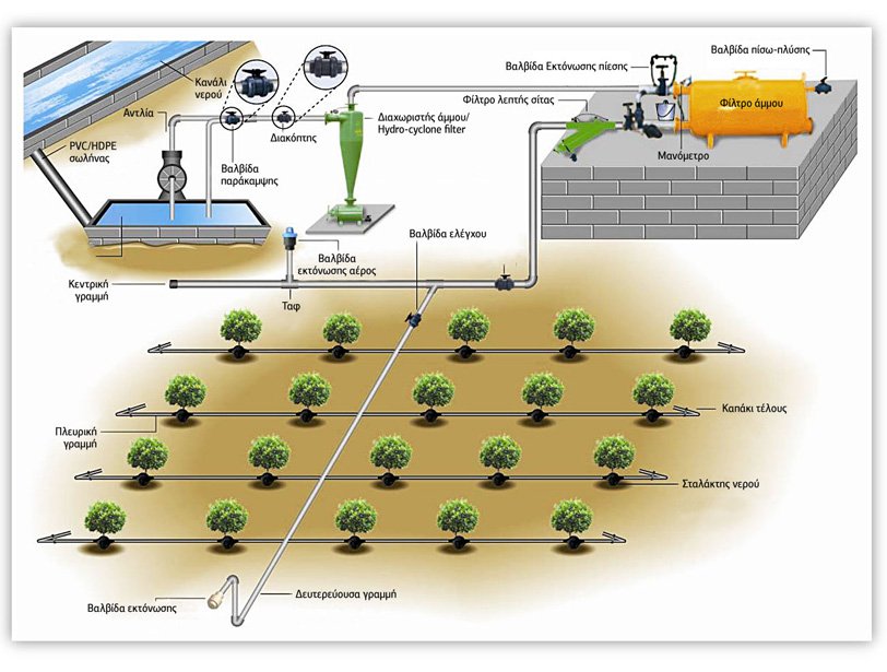 Εγκατάσταση ελαιώνα | MyOlivePlant - Ελαιώνας γνώση οικονομία